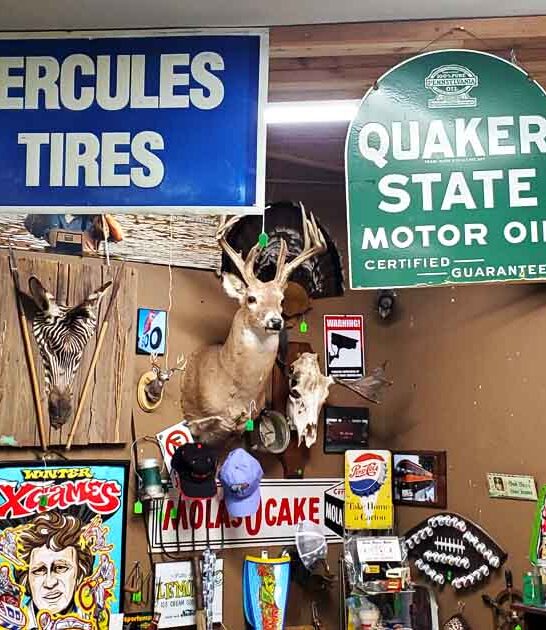 huge antique montana store ftr