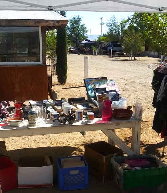 huge flea arizona market ftr