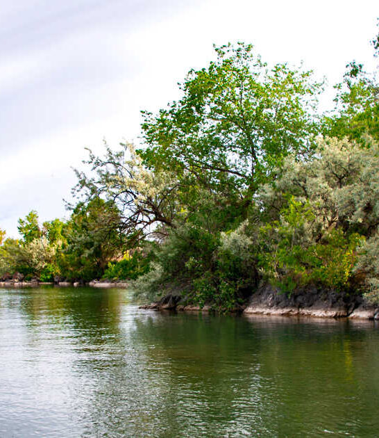 idaho postcard worthy park ftr