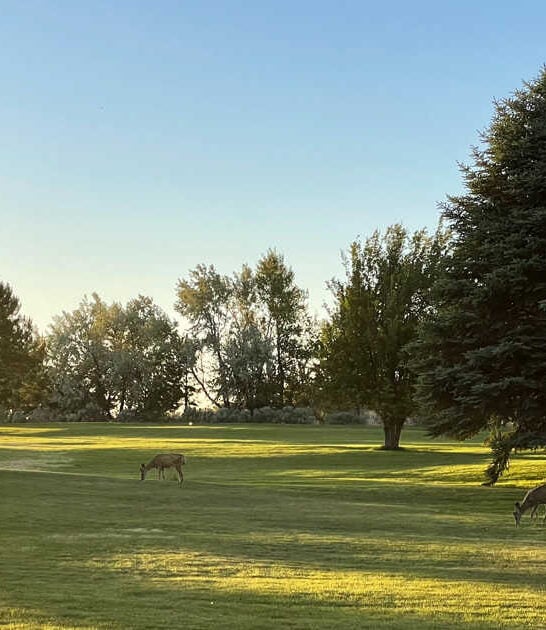 idaho stunning state park ftr