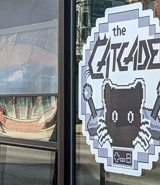 illinois cat themed lounge ftr