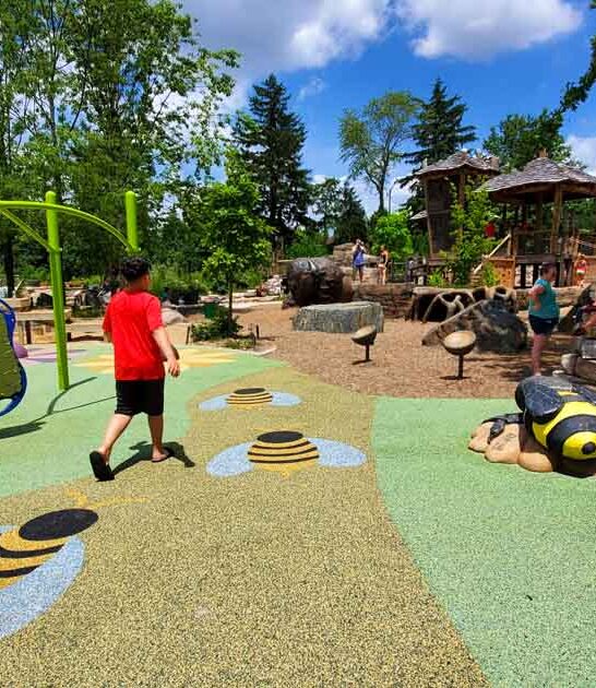 illinois massive playground ftr