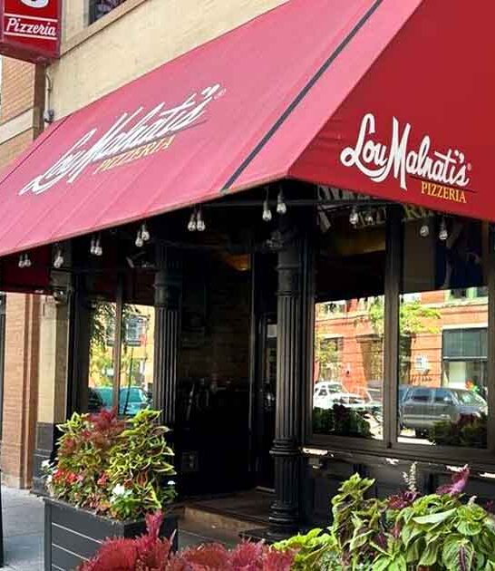 illinois pizzeria pie ftr