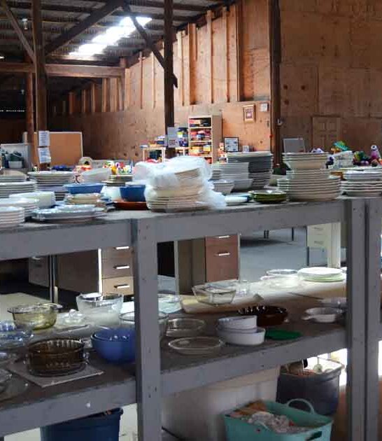 illinois thrift store great ftr