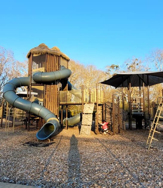 incredible georgia playground kids ftr