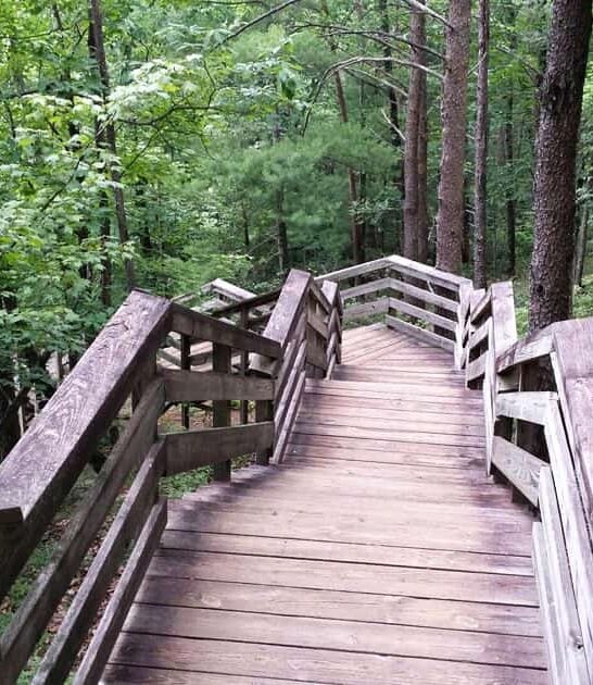 incredible north carolina parks ftr