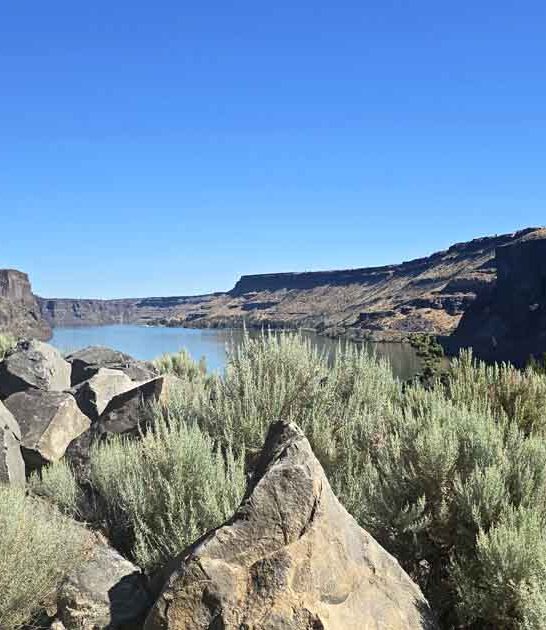 incredible oregon parks state ftr