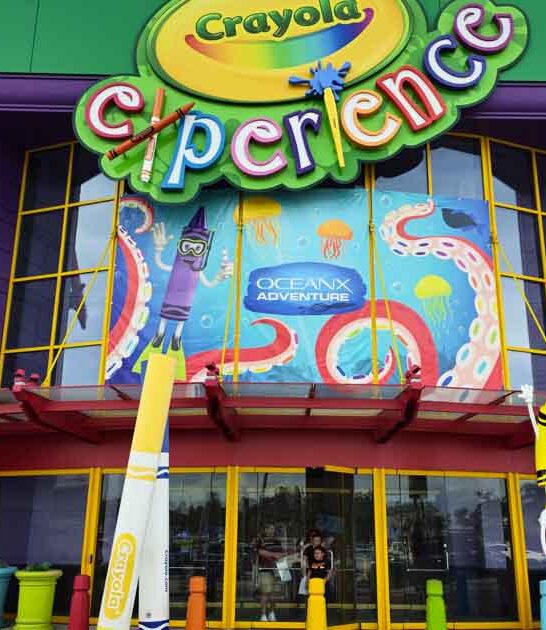 indoor playgrounds florida kid ftr