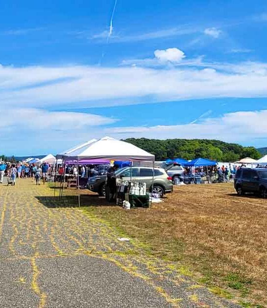 insane new york market ftr