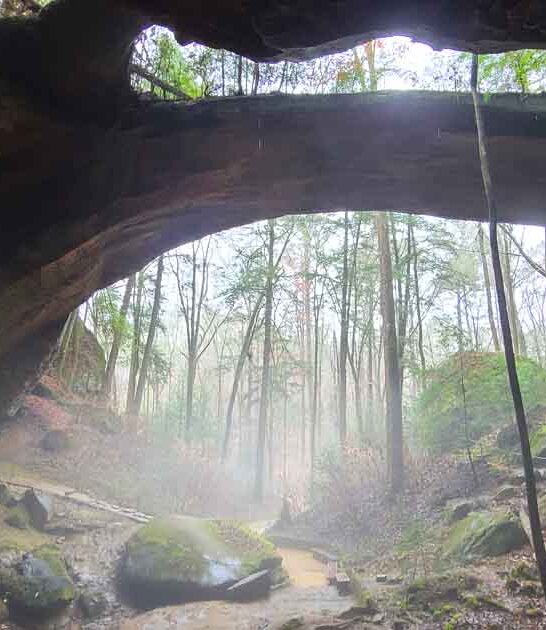 inspiring natural wonder alabama ftr