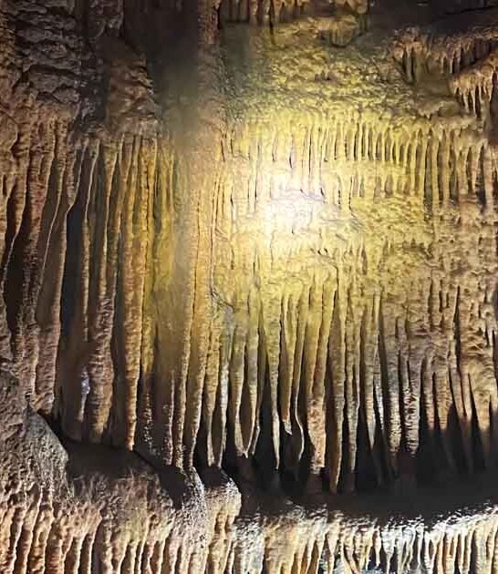 kentucky crowd free cavern ftr