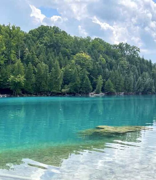 lake park new york ftr