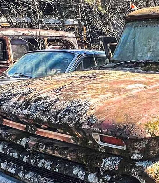 largest car junkyard georgia ftr