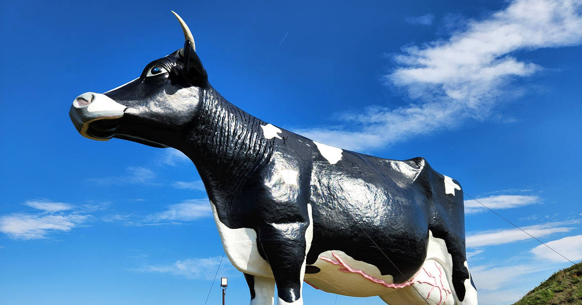 The World's Largest Holstein Cow Is In North Dakota, And It’s As Weird ...