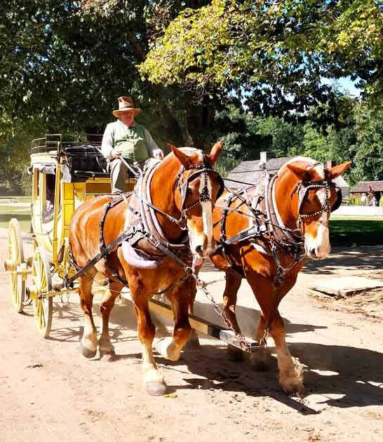 living museum massachusetts outdoor ftr