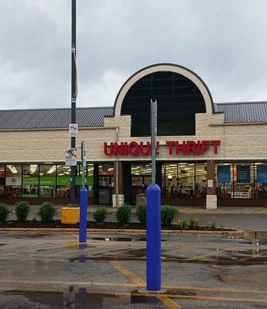 locals illinois thrift paradise ftr