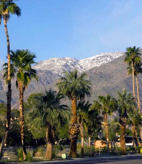 love outdoors california town ftr