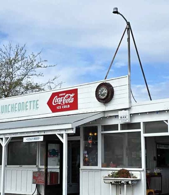 luncheonette california worth drive ftr