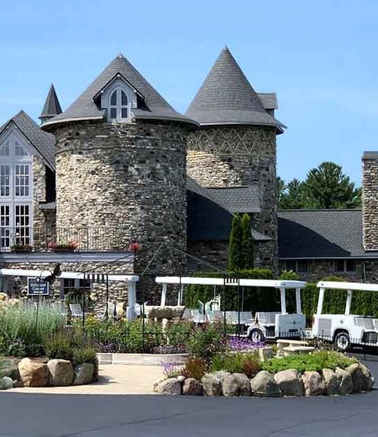 magical castle whimsical michigan ftr