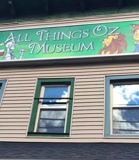 magical new york museum ftr