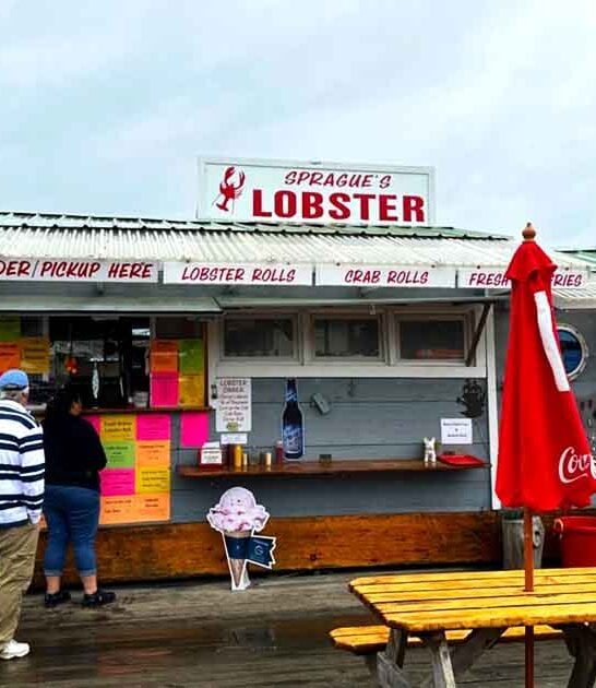 maine clam chowder shack ftr
