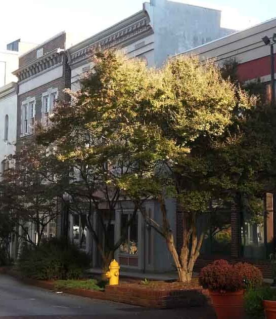 maryland affordable living towns ftr