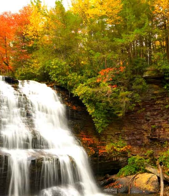 maryland breathtaking state park ftr