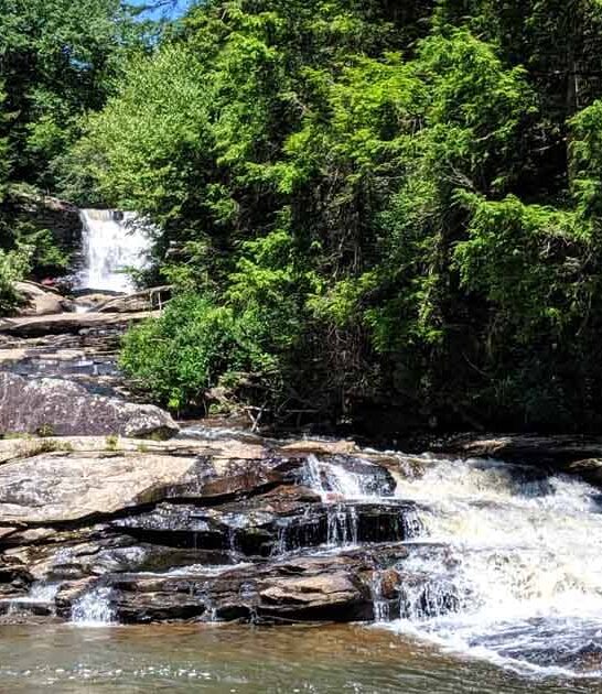 maryland state park therapeutic ftr