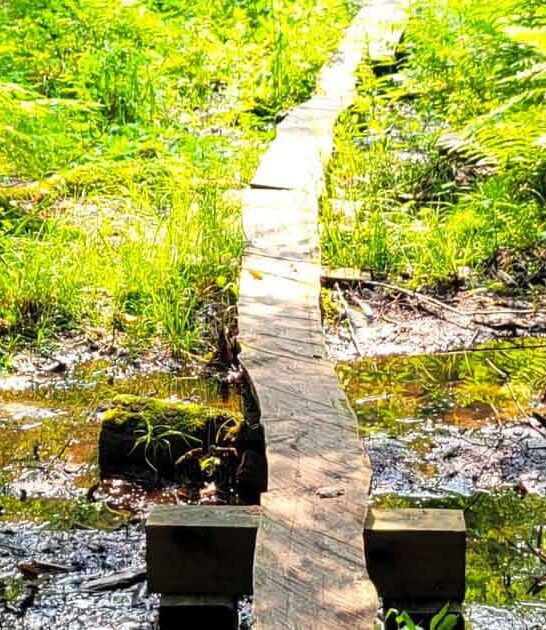 massachusetts hidden state parks ftr