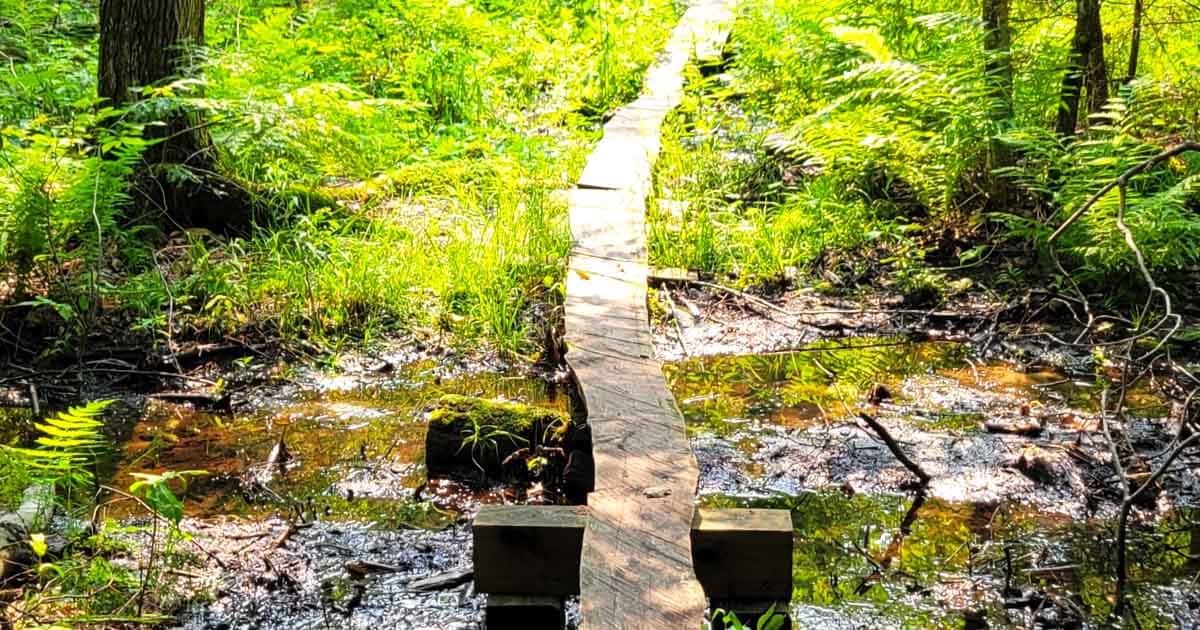 8 Massachusetts State Parks Most People Don't Know Exist