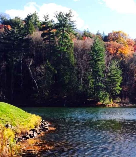 massachusetts state parks gem ftr