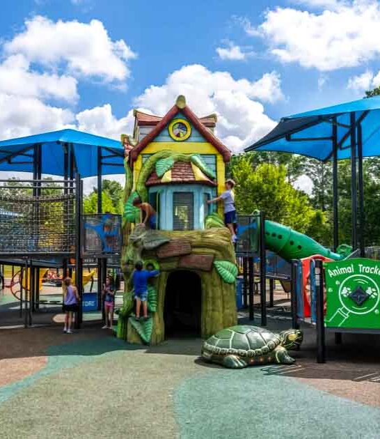 massive alabama playground adventure ftr