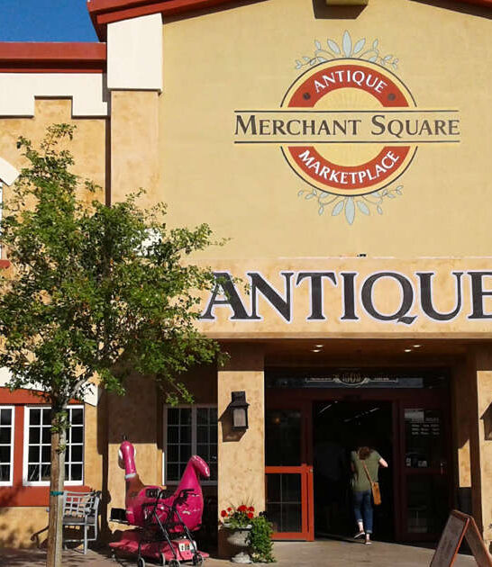 massive arizona bargain store ftr