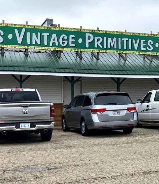 massive flea wisconsin backseat ftr