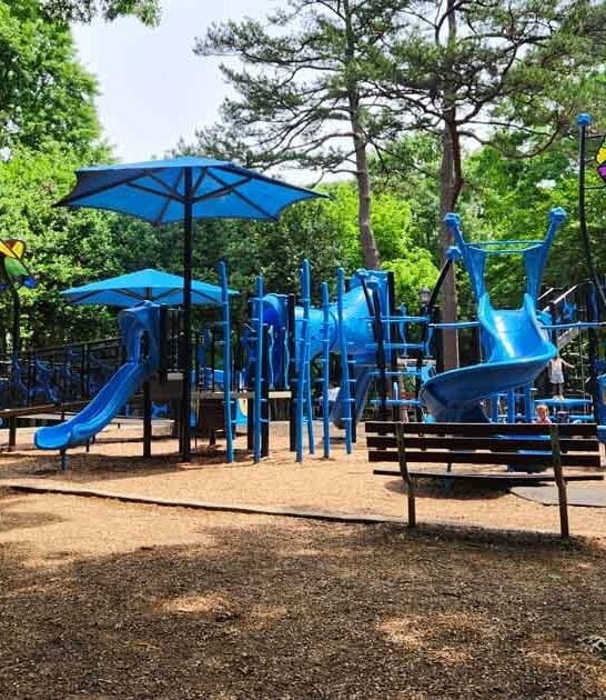 mega north carolina playground ftr