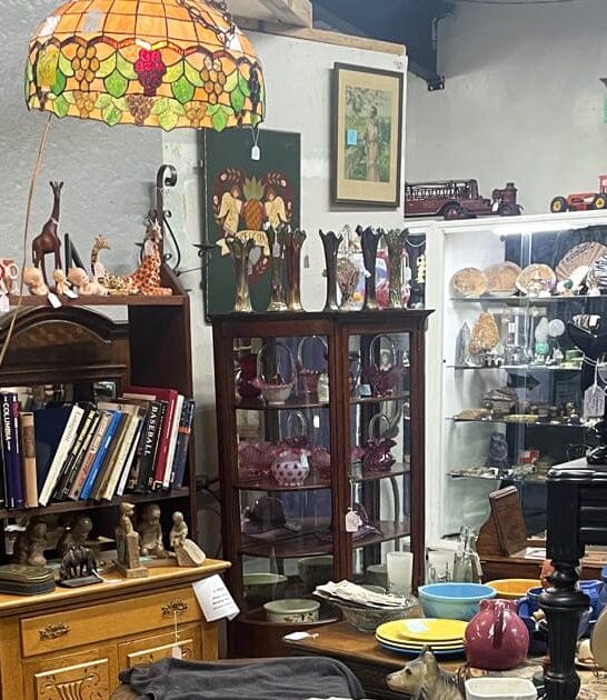 michigan antique collectors dream ftr