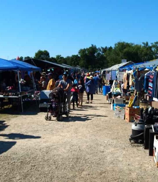 michigan markets treasure troves ftr