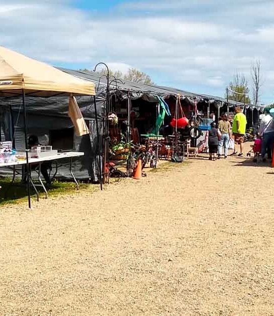 michigan massive bargain hunt ftr