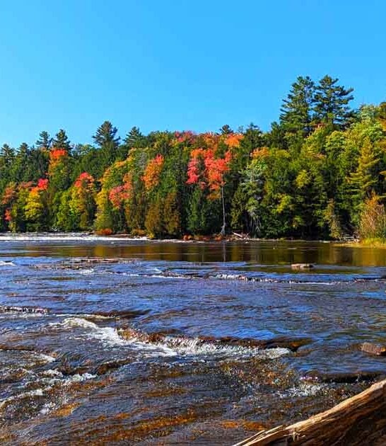 michigan wondrous largest parks ftr