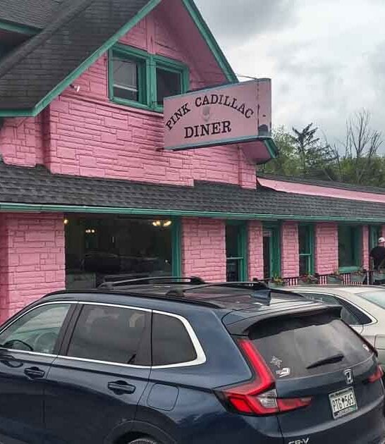 milkshakes retro virginia diner ftr