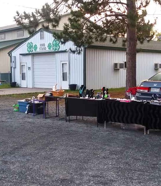 minneosta amazing flea markets ftr