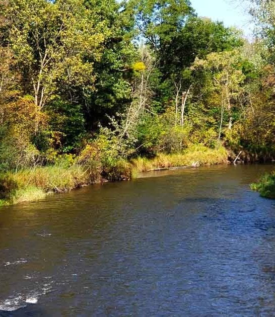 minnesota discover gorgeous park ftr