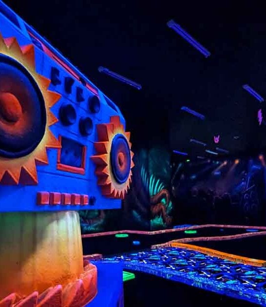 minnesota golf course mini ftr