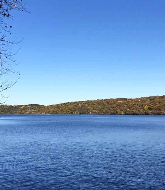 minnesota park unbeatable ftr