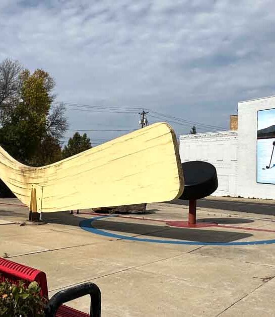 minnesota weird hockey stick ftr