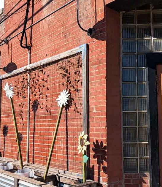 missouri diner tasty breakfast ftr