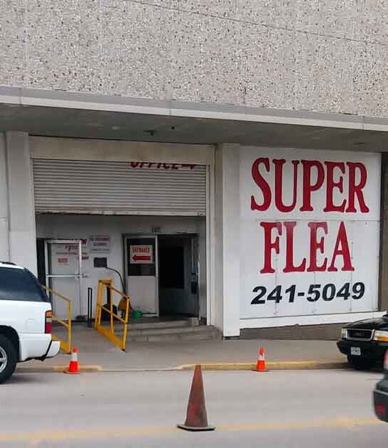 missouri incredible flea markets ftr