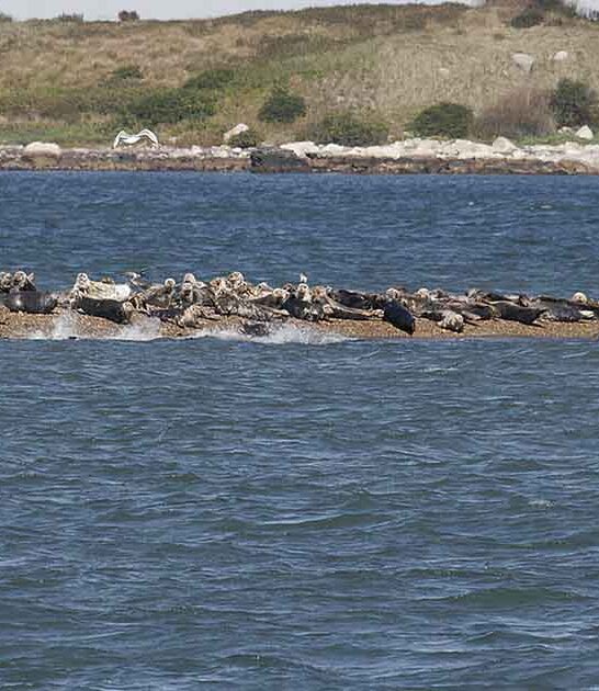 most gorgeous massachusetts islands ftr