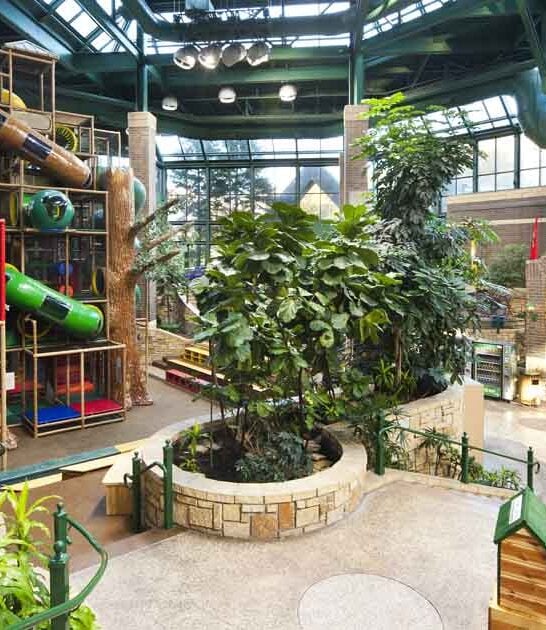 most massive minnesota playground ftr