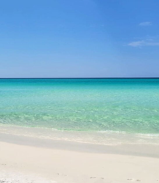 most pristine park florida ftr